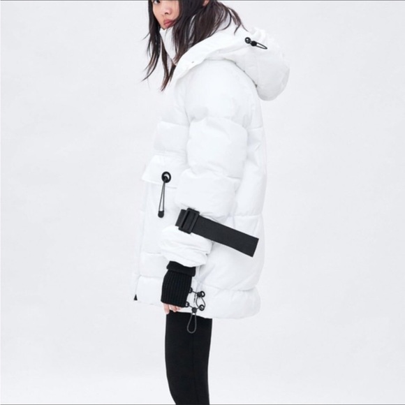 Zara | Jackets & Coats | Nwt Zara Limited Edition Antarctic Capsule ...